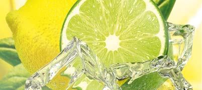 BIEN ÊTRE - LE CITRON - LIFESTYLE GUIDE - SOBIOTIFUL