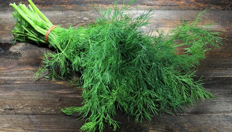 BIEN ÊTRE - HERBES MEDICINALES - PARISOBIOTIFUL